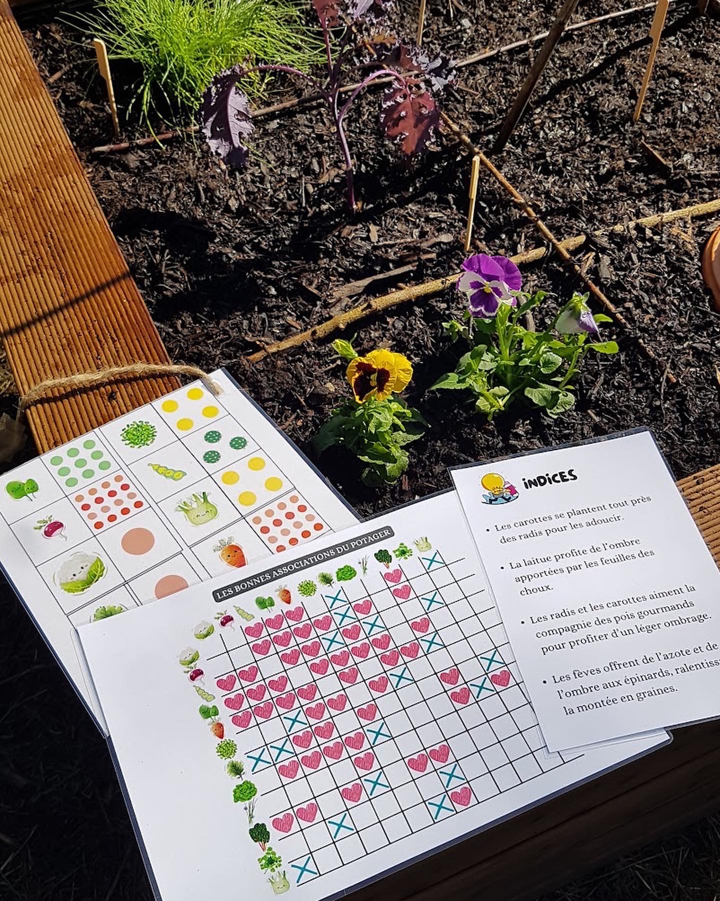 Atelier Enfant : Initiation au jardinage - Hortus